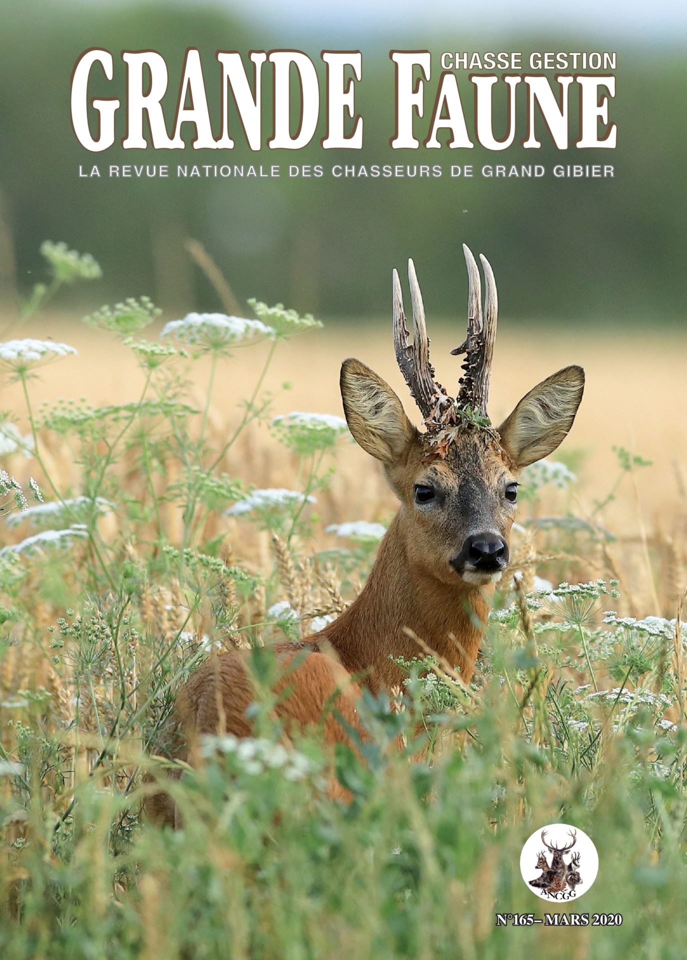 Revue « Grande faune » - ANCGG